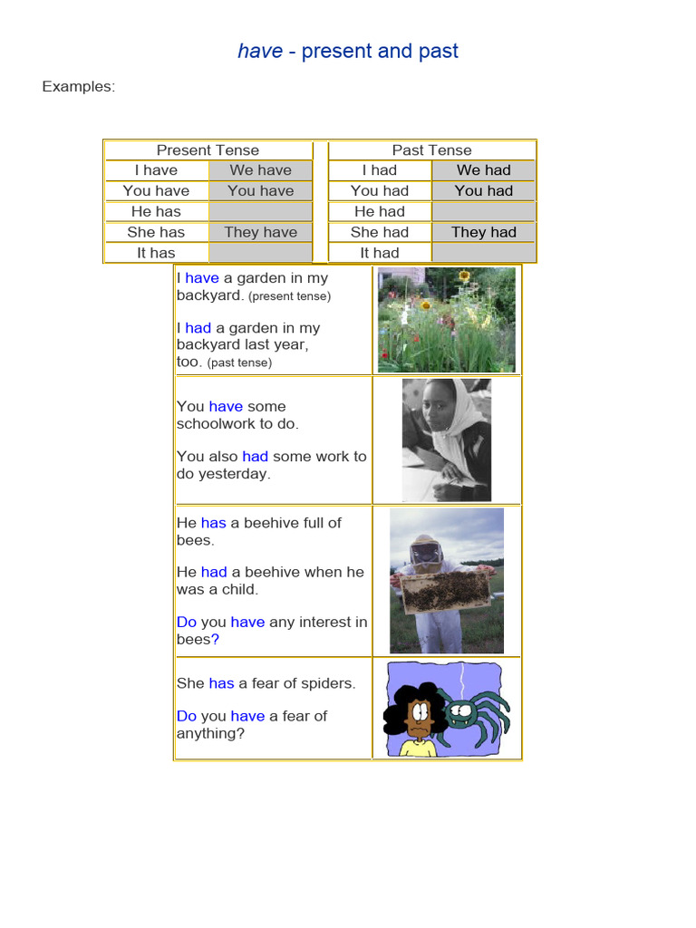 Have - Present and Past | PDF | Grammatical Tense | Verb