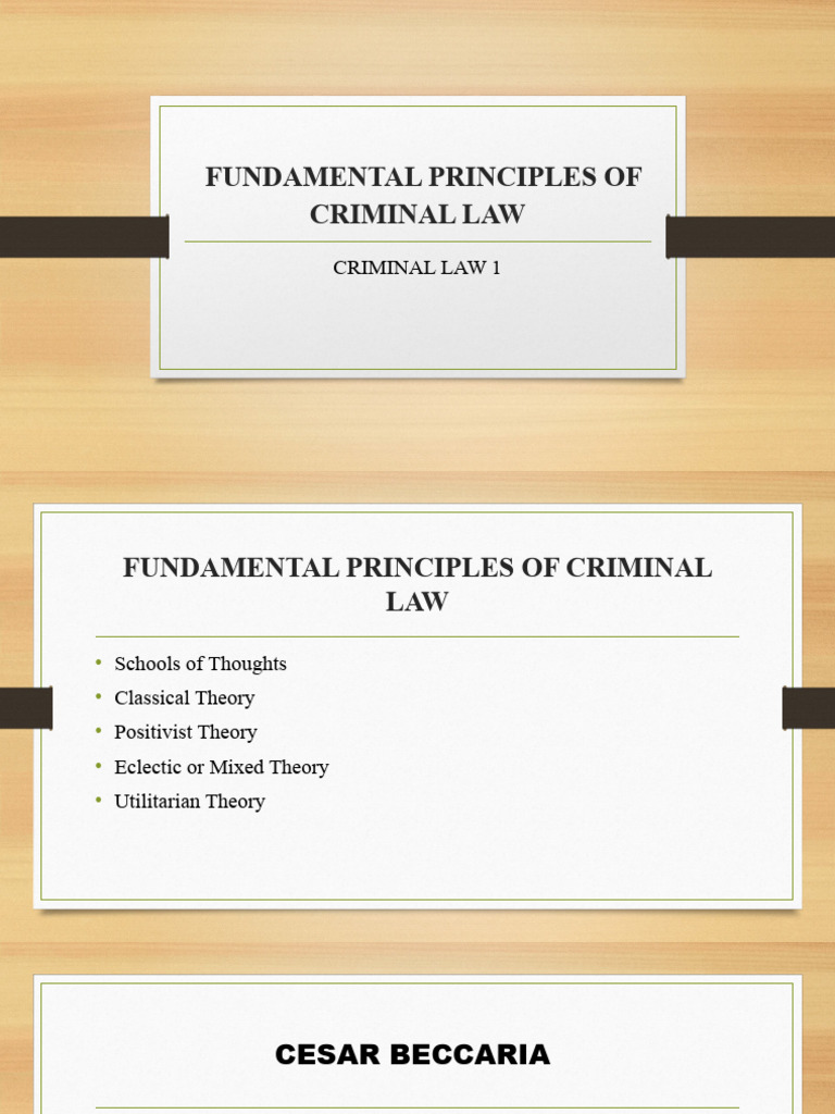 Fundamental Principles of Criminal Law | PDF | Criminology | Crimes