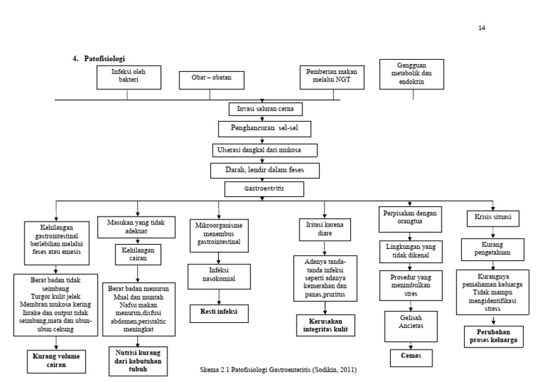 Patofisiologi Gastroenteritis | PDF