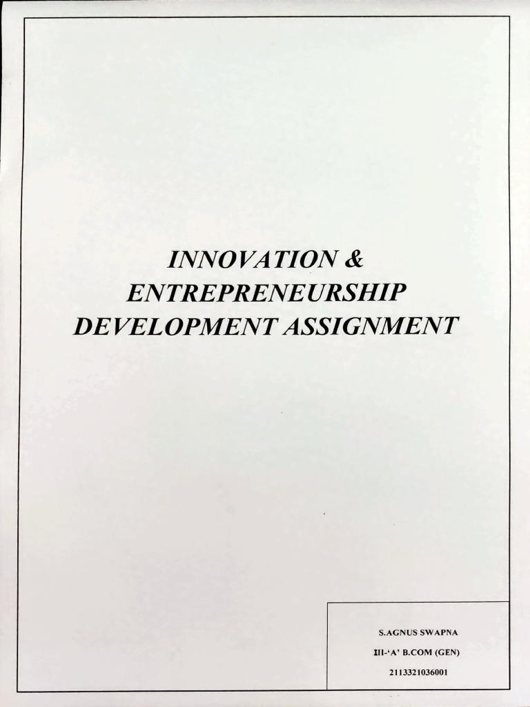 Successful Entrepreneur Assignment | PDF