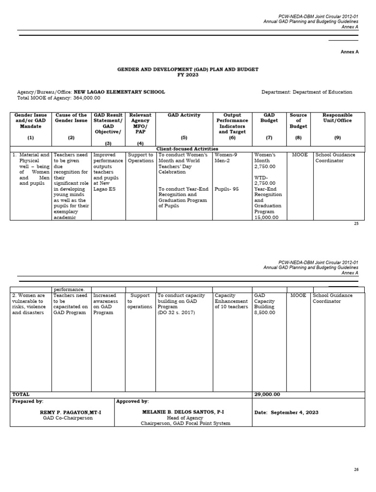 GAD Plan and Budget Template | PDF | Business