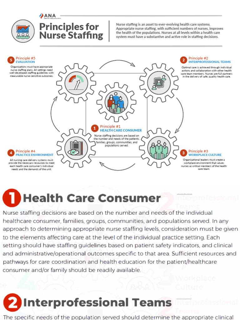 Principles of Effective Nurse Staffing | PDF | Nursing | Health Care