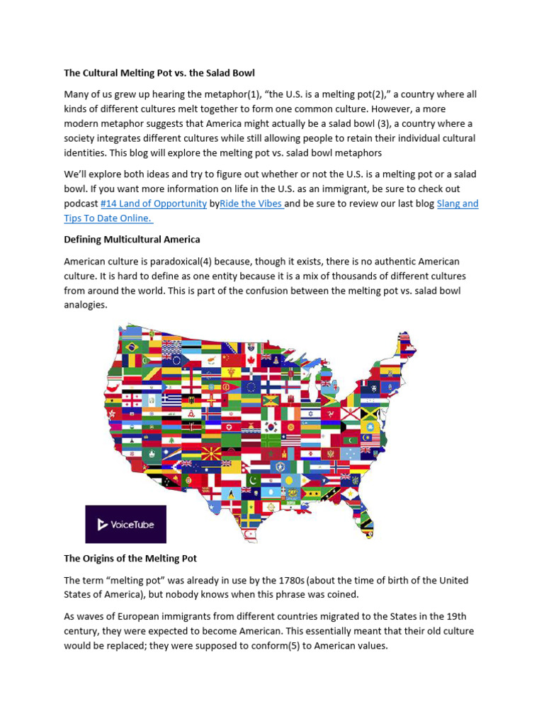 Melting Pot vs. Salad Bowl: U.S. Culture | PDF | Multiculturalism | The ...