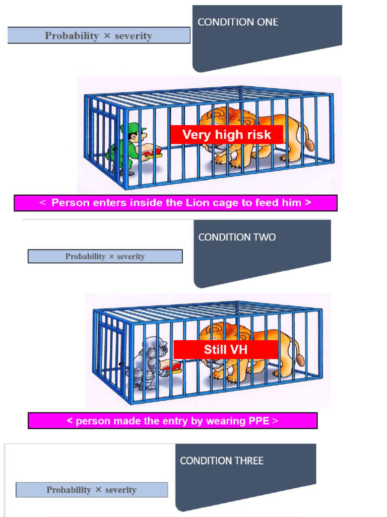 Risk Assessment - Lion E.G. | PDF