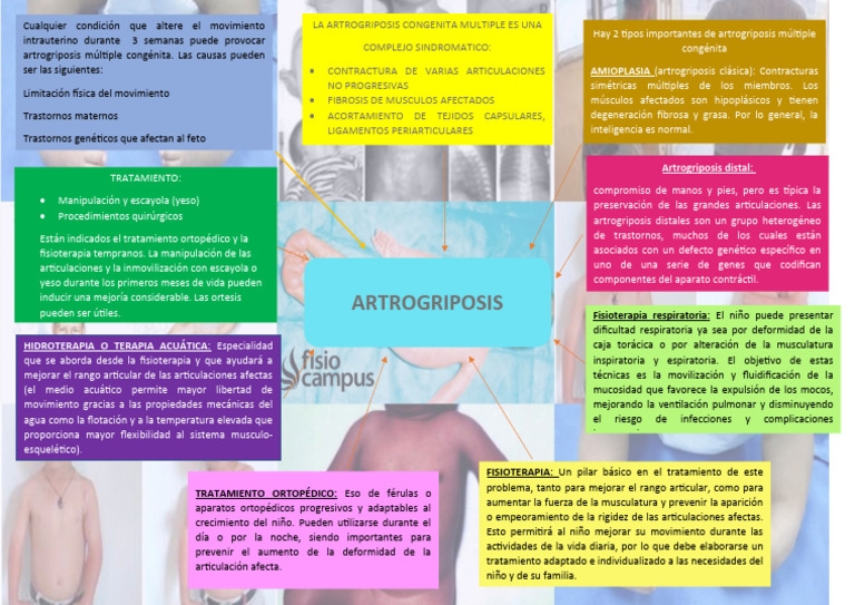 Mapa Conceptual 2 | Descargar gratis PDF | Medicina CLINICA | Enfermedades y trastornos