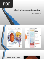 Papilledema Grading System (Frisen Scale) | PDF