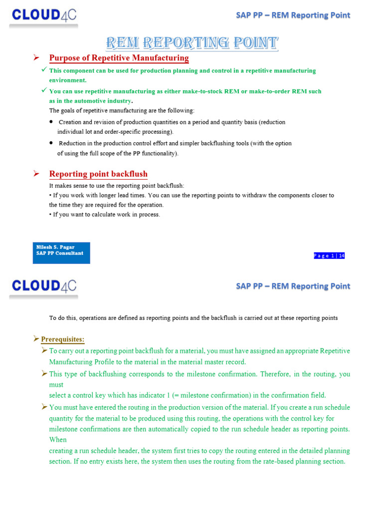 Reporting Point in REM | PDF | Business | Computing