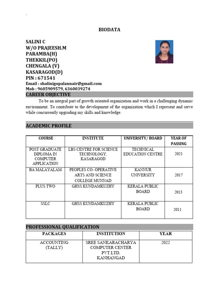 Salini 1996 | PDF | Application Software | Computer Science