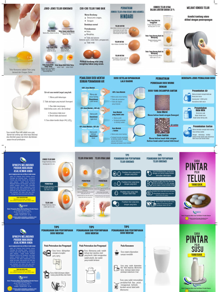 BPMSPH Leaflet Susu Daging Telur Reduce | PDF