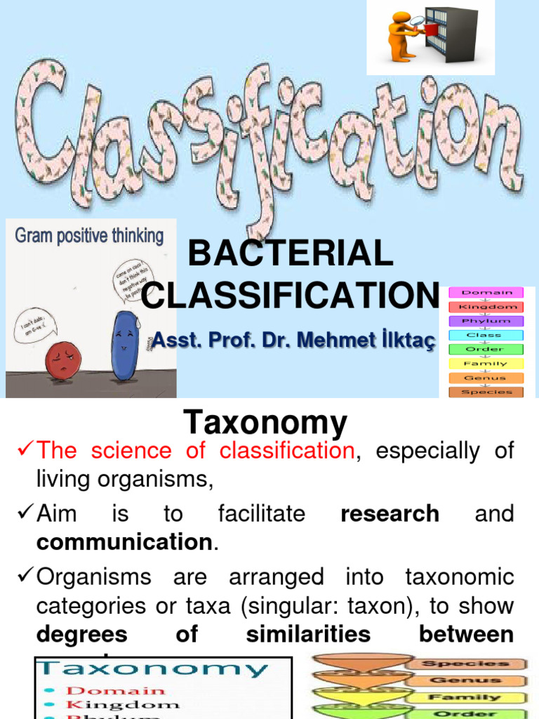 Bacterial Classification MICROBIOLOGY | PDF | Bacteria | Gram Positive ...
