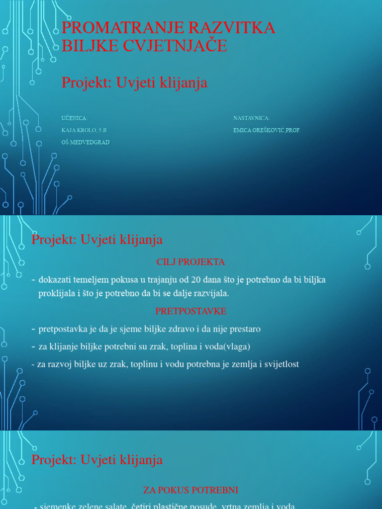 Uvjeti - Klijanja - Primjer | PDF