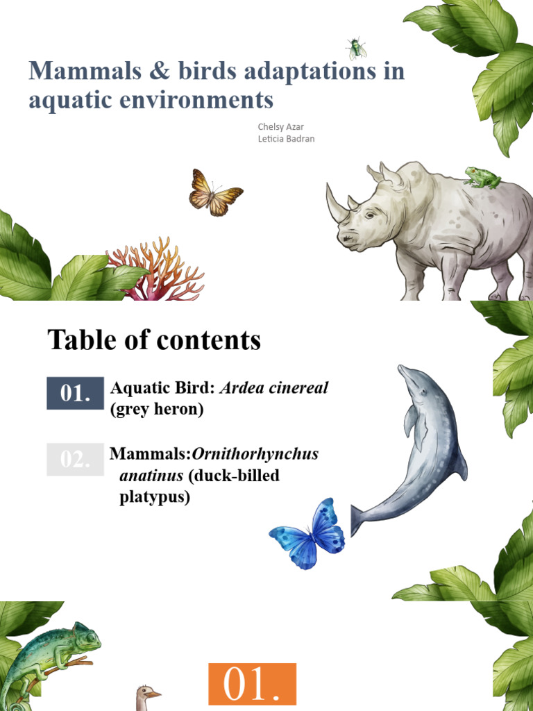 Biology Aquatic Animals Presentation | PDF