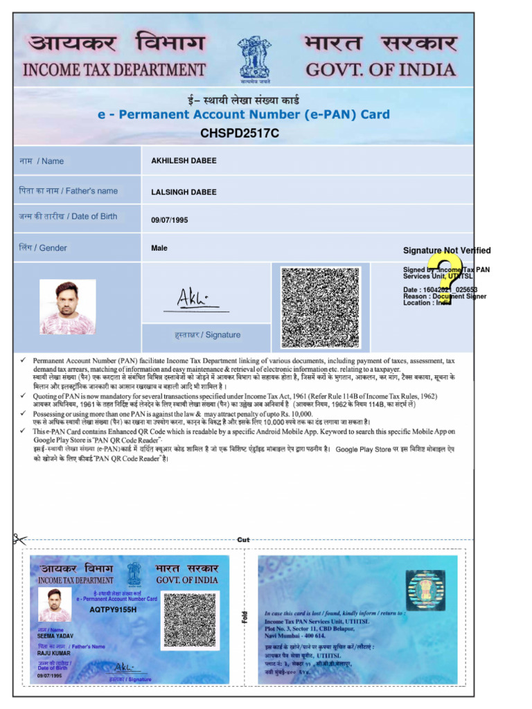 Original PAN Card Details for Raju Kumar | PDF