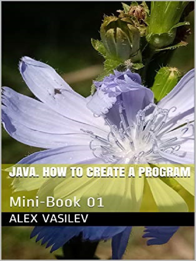 Java How To 001 RG | PDF | Java (Programming Language) | Method (Computer Programming)