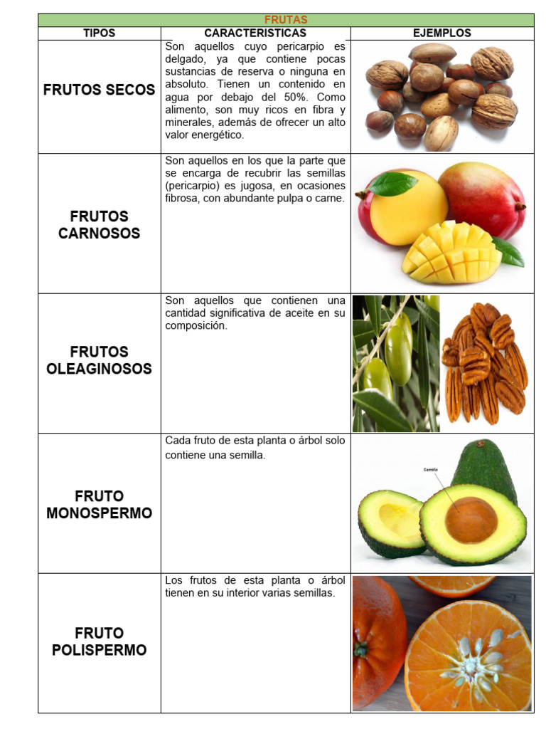 Tipos de Frutos y Sus Características | PDF | Fruta | Semilla