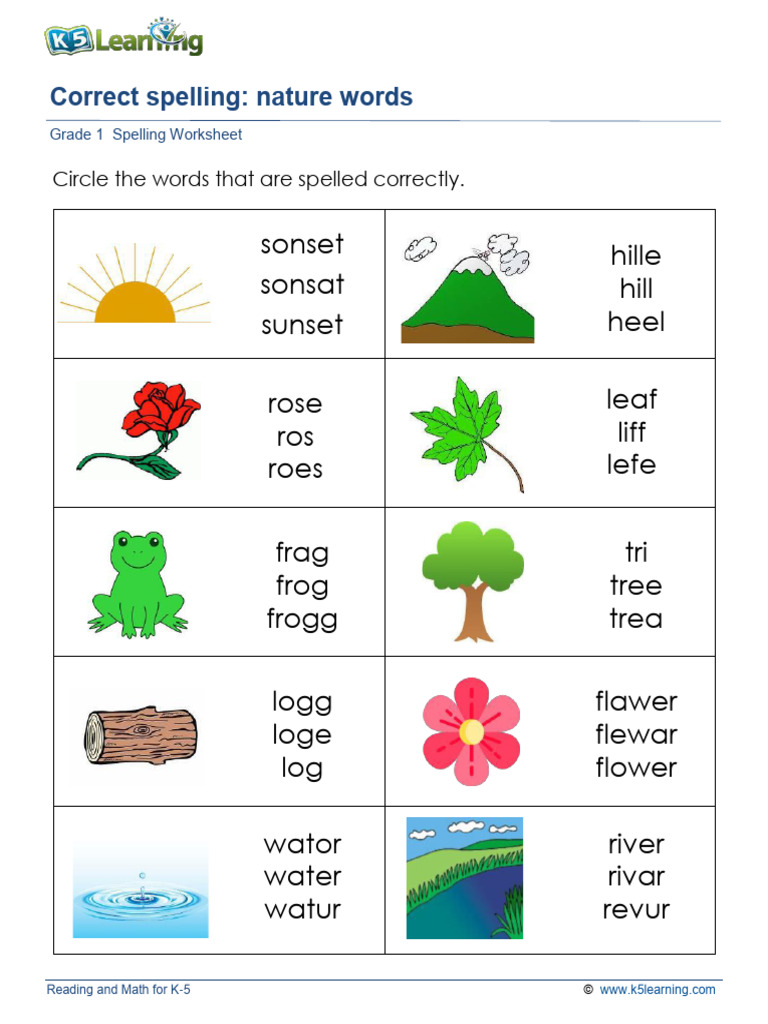 Grade 1 Circle Word 1 | PDF
