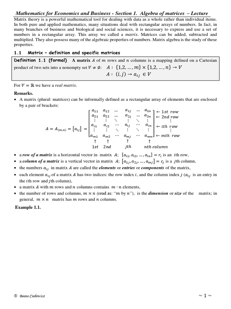 2023 Lecture Section 1 Matrices | PDF | Matrix (Mathematics) | Determinant
