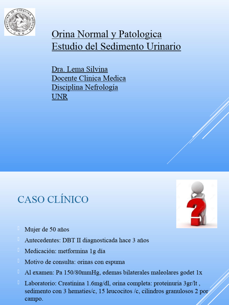 Orina Normal y Patológica | Descargar gratis PDF | Urología ...