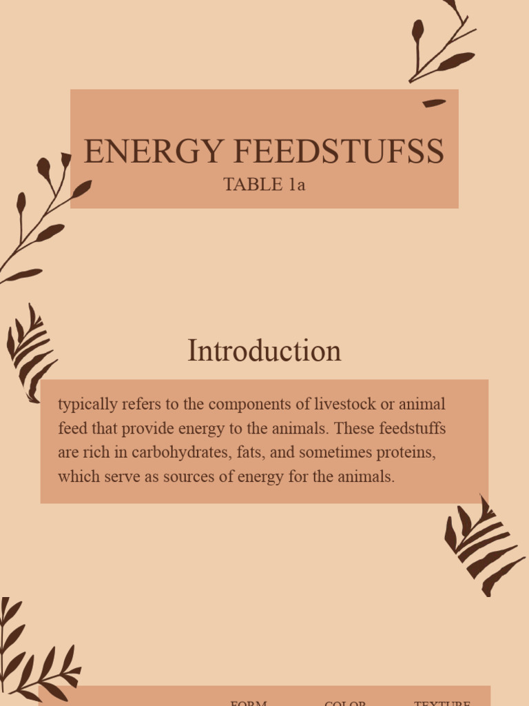 Energy Feedstufss | PDF