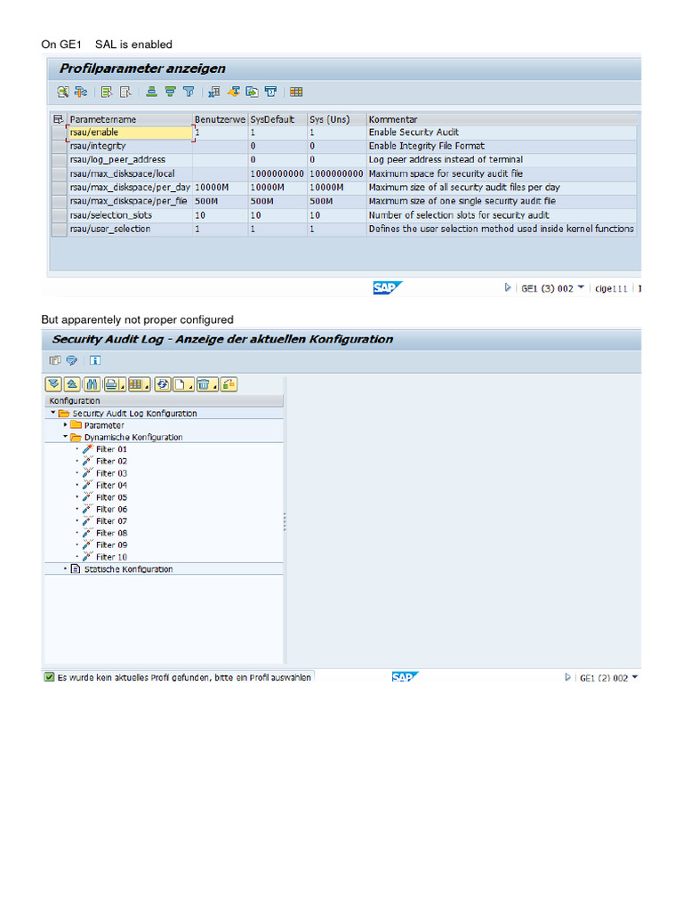 SAP SAL Problem - GE1 | PDF