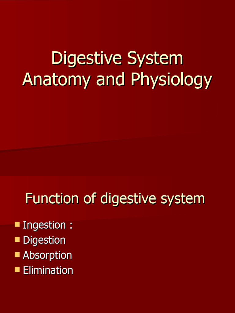 Digestive System Anatomy and Physiology | PDF | Stomach | Esophagus
