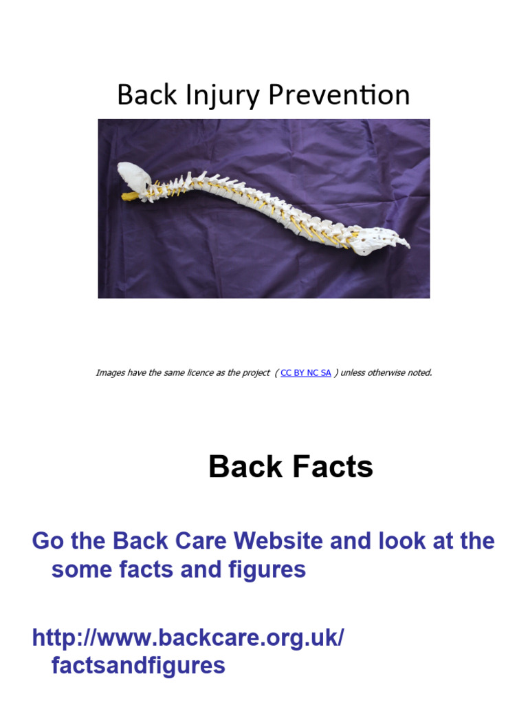 Back Injury Prevention | PDF | Back Pain | Clinical Medicine