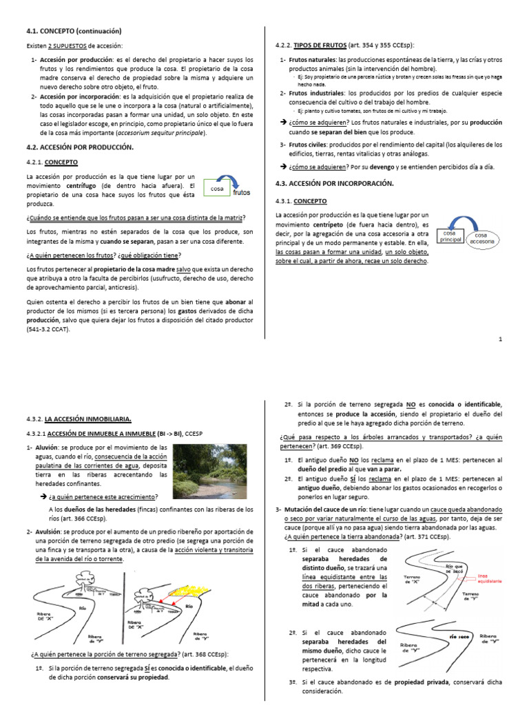 Tema 11. Derechos Reales | PDF | Propiedad | Daños y perjuicios