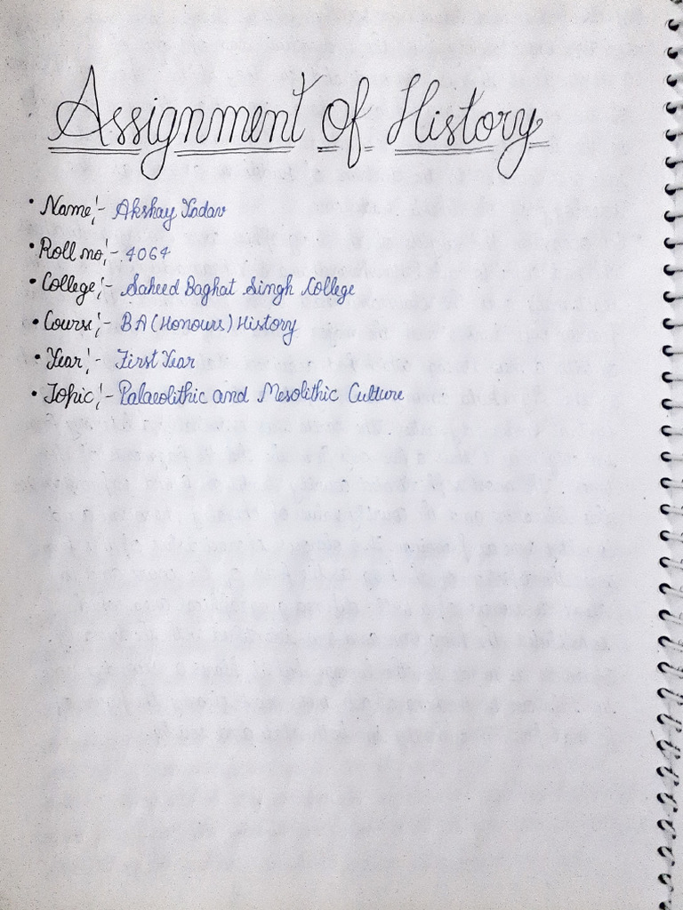 History Assignment 3 | PDF