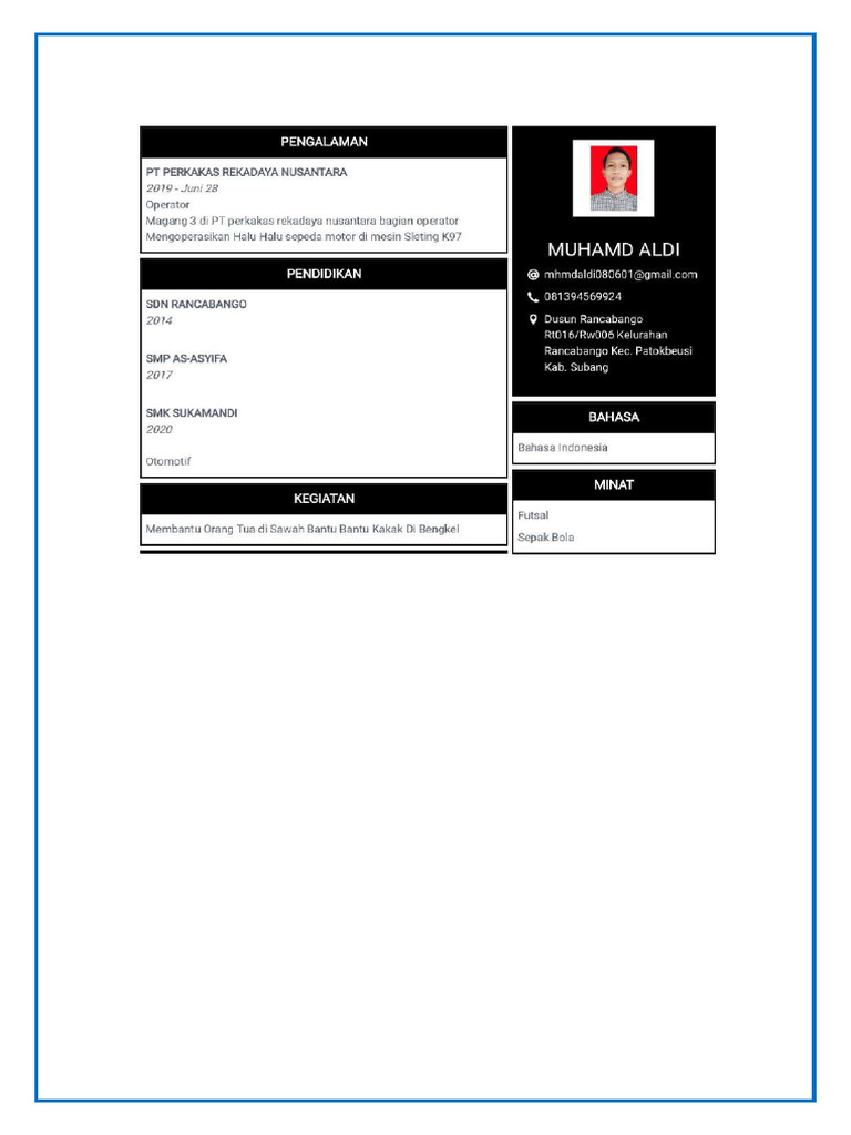 CV Muhamad Aldi | PDF