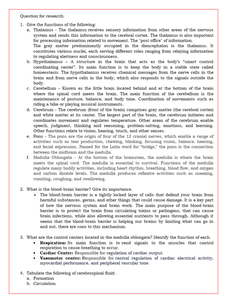 Anaphy Activity 8 | PDF | Cerebrospinal Fluid | Thalamus