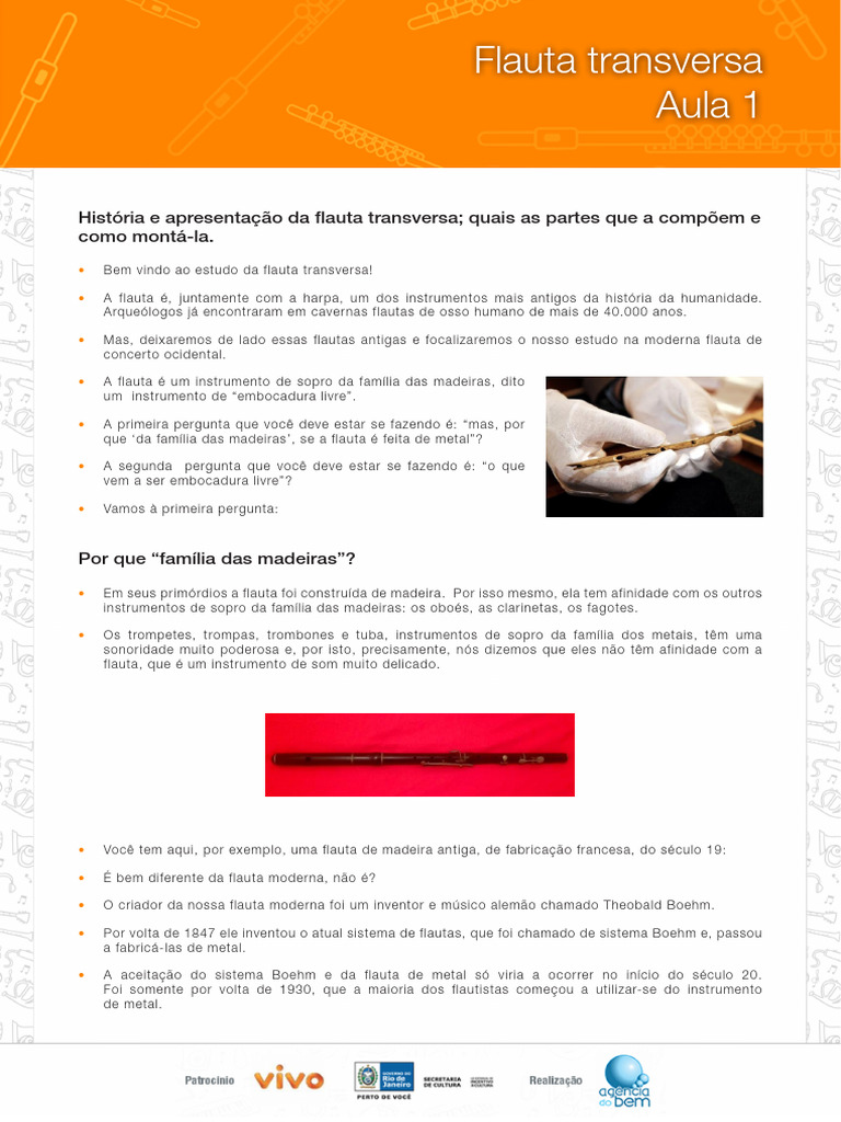 Cidadania Musical - Flauta Tranversa - Aula 1 | PDF | Flauta ...