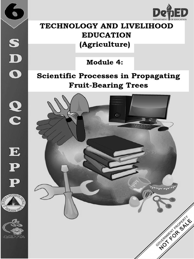 DO - Q1W4 TLE 6 MODULE 4 Scientific Processes in Propagating Fruit Bearing Trees | PDF ...