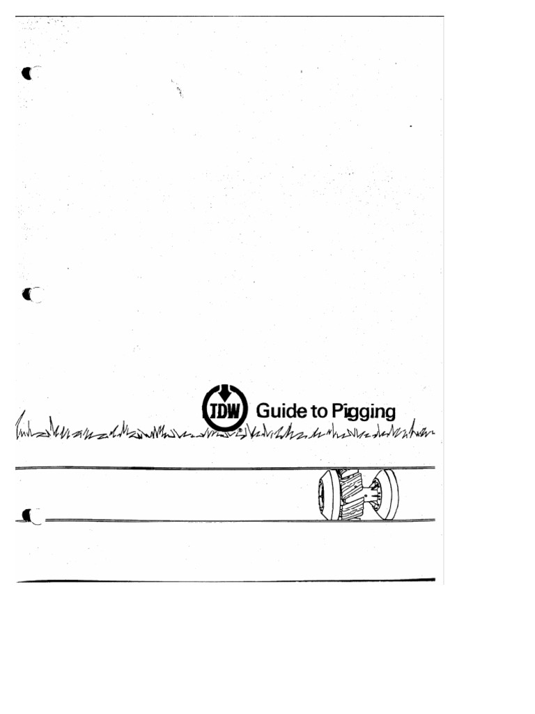 TDW Guide To Pigging | PDF