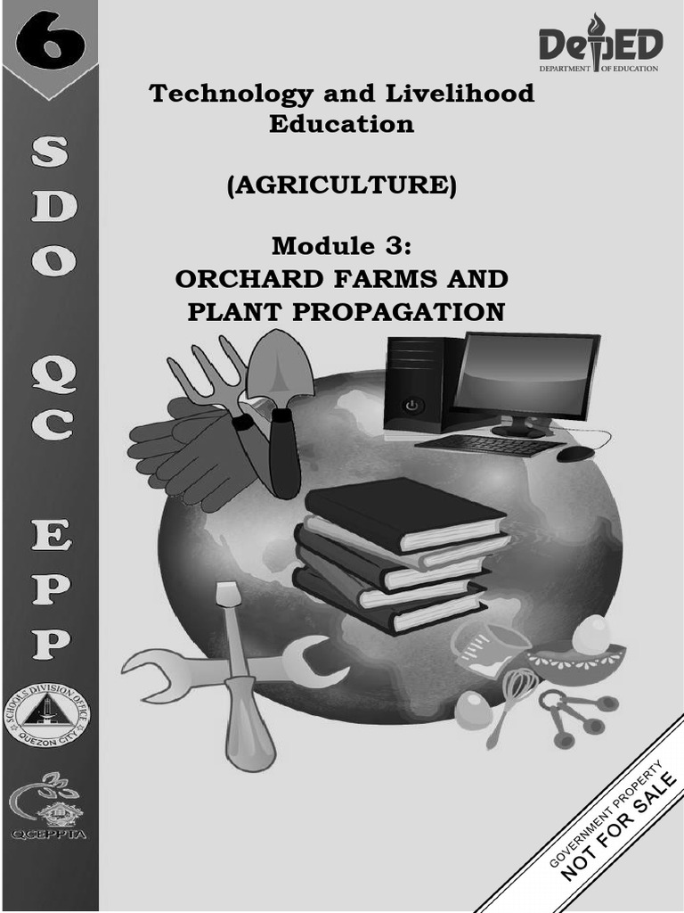 Do q1w3 Tle 6 Module 3 Orchard Farms and Plant Propagation 1 | PDF ...