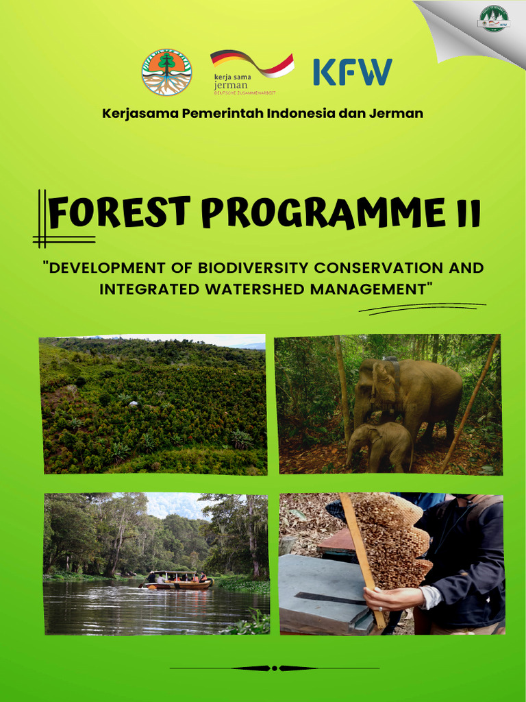 Forest Programme II | PDF