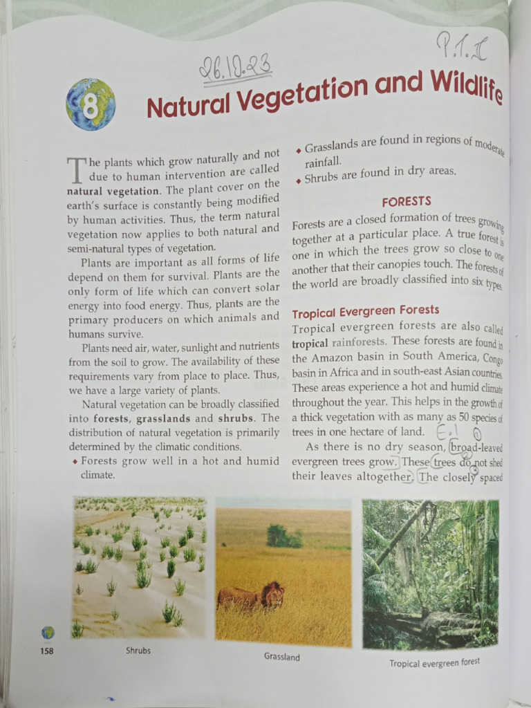 Geography Chapter 8 | PDF