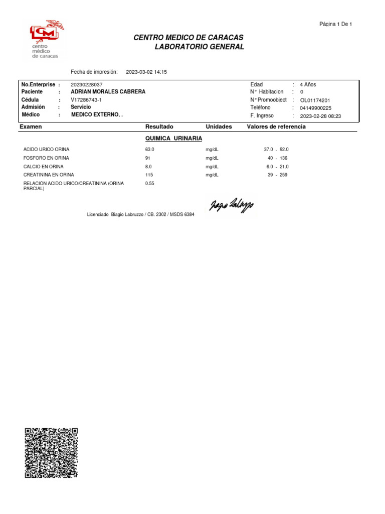 Examen Adrian Pdf
