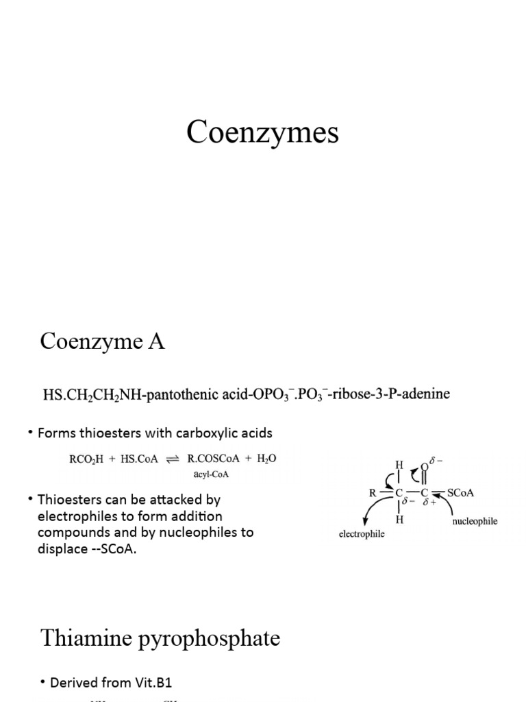 Coenzymes | PDF | Cooking, Food & Wine | Technology & Engineering