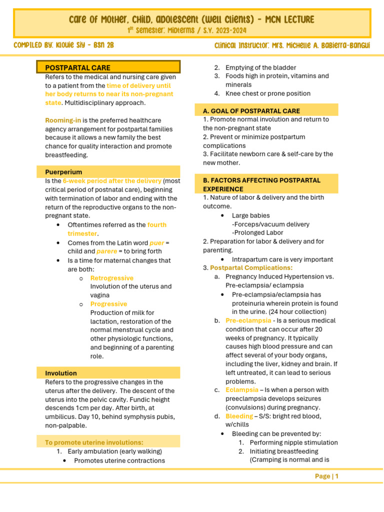 Postpartal Care: Key Insights and Guidelines | PDF | Childbirth ...