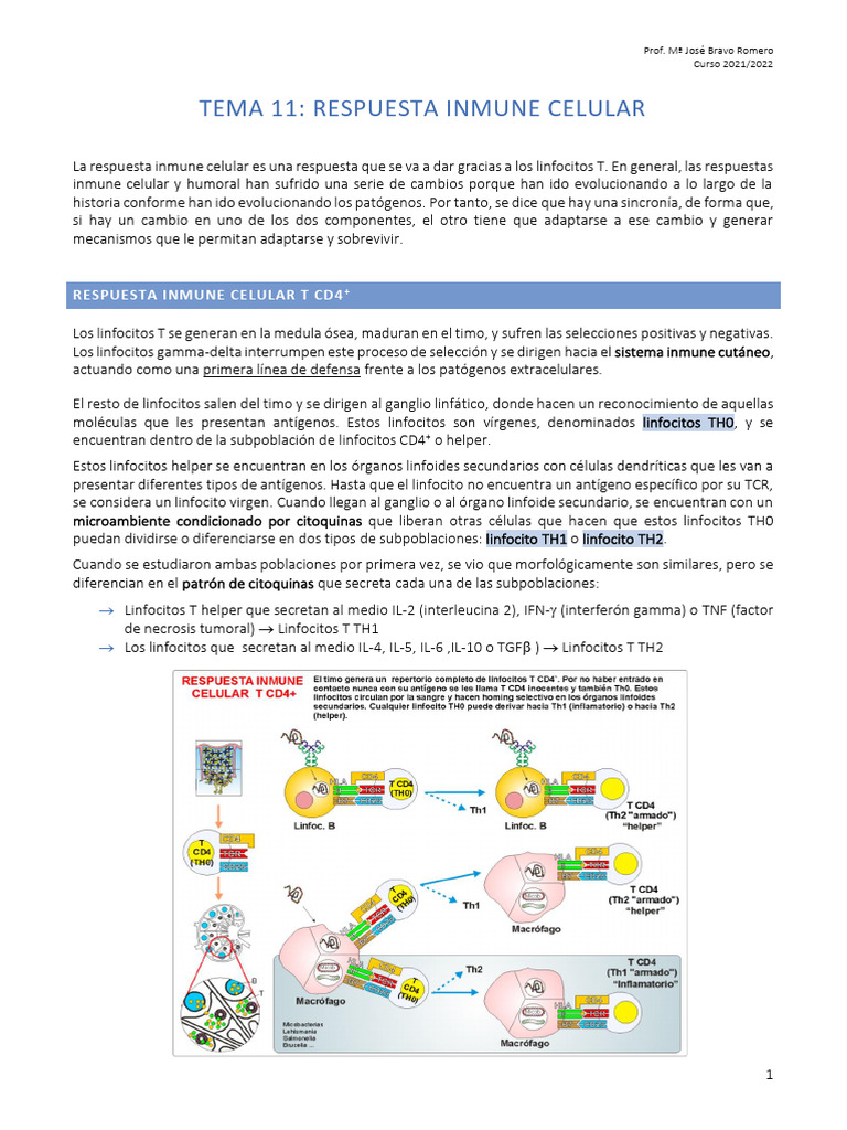 Wuolah Free Tema 11 Gulag Free | PDF | Citocina | Célula T