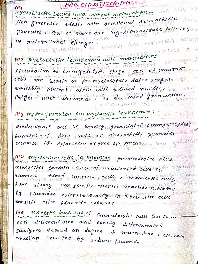 FAB Classification | PDF