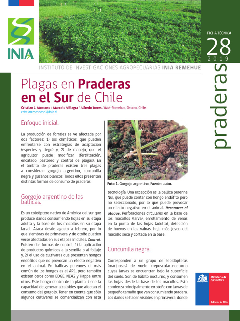 Ficha Técnica INIA #28 | PDF | Agricultura