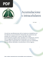Inclusiones Citoplasmáticas: Función y Relevancia | PDF | Biología ...