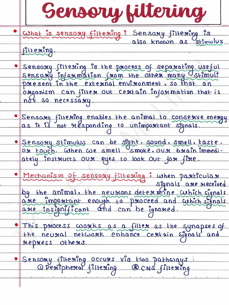 TH HD Del-Hi 05 09 2023 2 | PDF | Synapse | Chemical Synapse