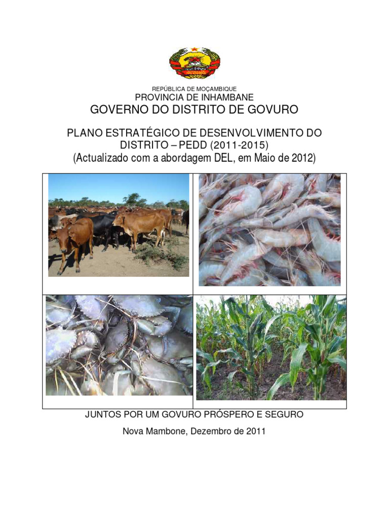 Desenvolvimento Distrital de Govuro 2011-2015 | PDF | Moçambique ...
