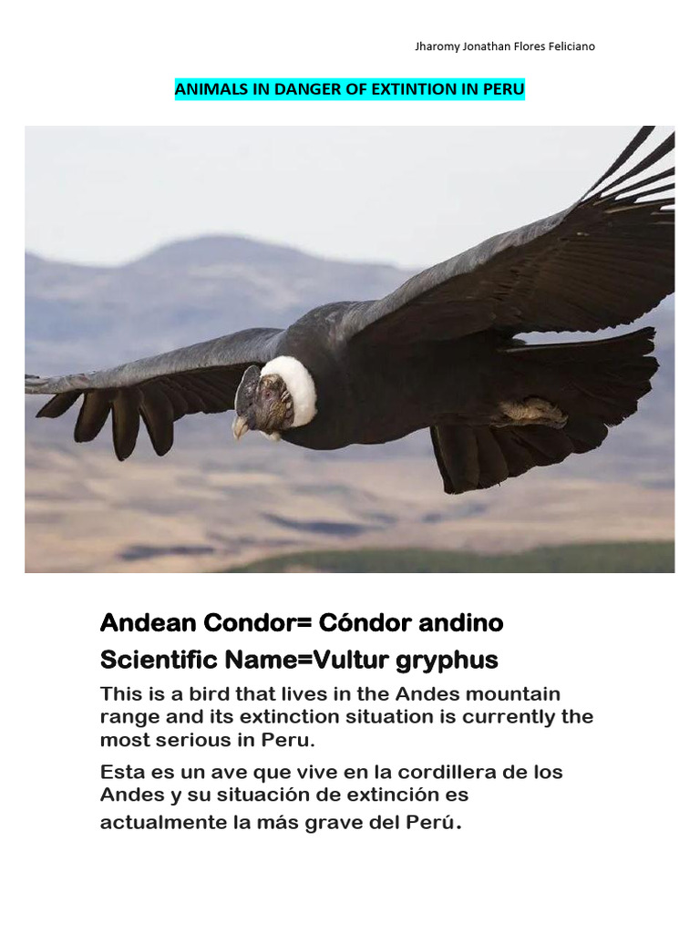 AVANZE DE PROYECTO FINAL Ingles | PDF | Bienestar | Ciencia y matemática