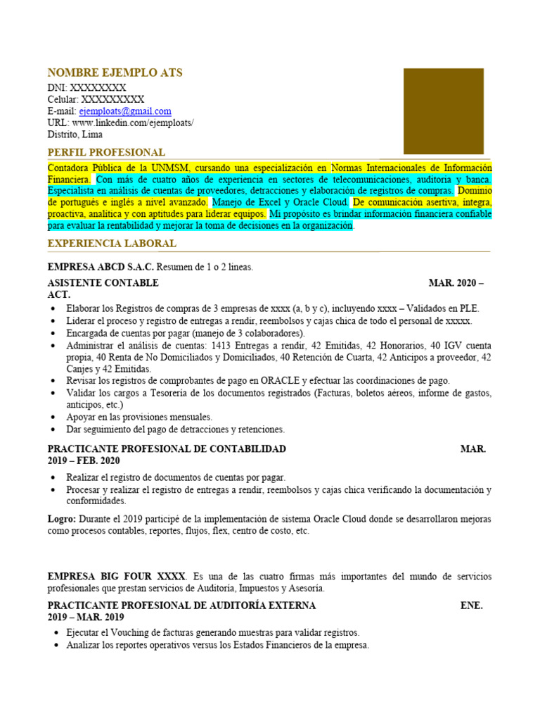 CV Plantilla Modelo Ats | PDF | Auditoría | Contabilidad