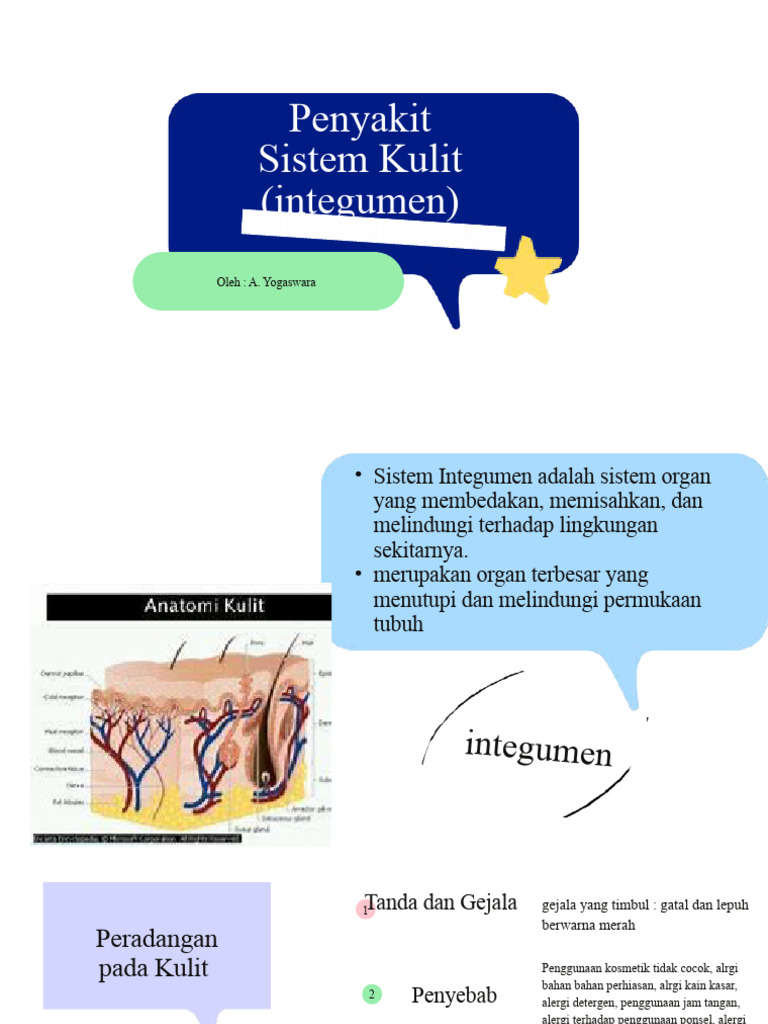Penyakit Sistem Kulit (Integumen) | PDF