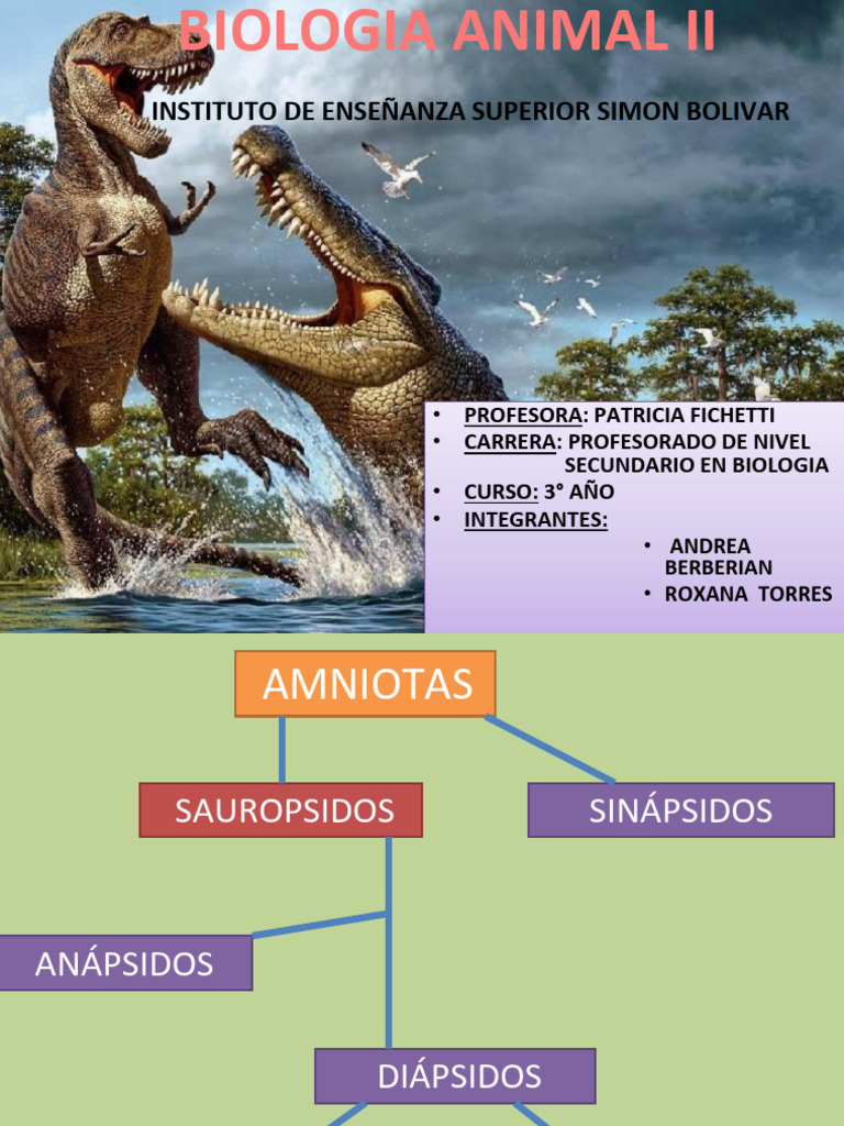 Clasificación de Anápsidos y Diápsidos | PDF | Serpiente | Reptil