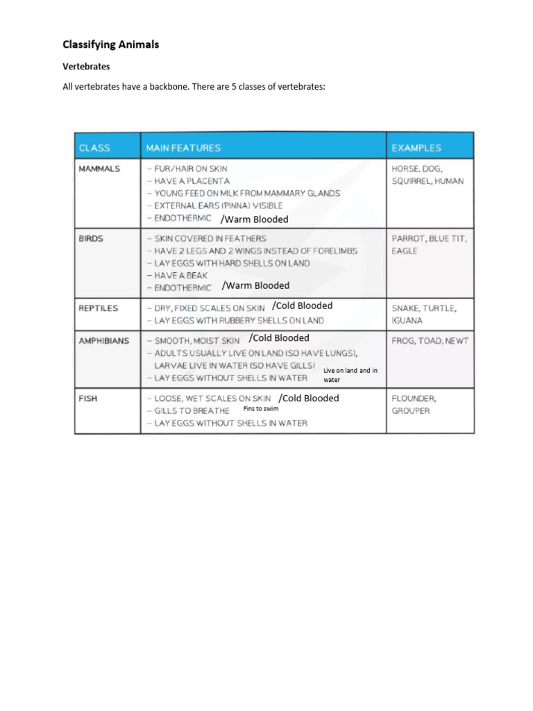 Animal and Plant Classification Guide | PDF | Leaf | Flowers